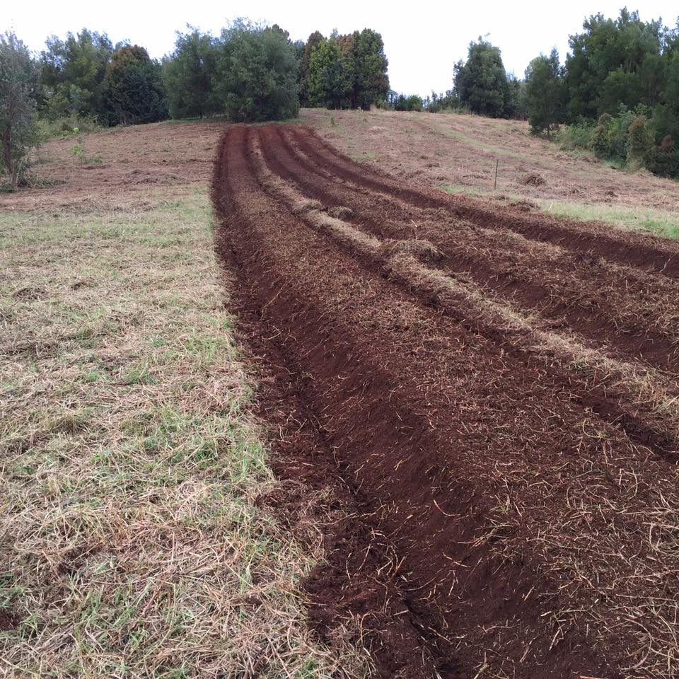 Enhancing Soil Health with mulching and compost – Bransons Rural Services